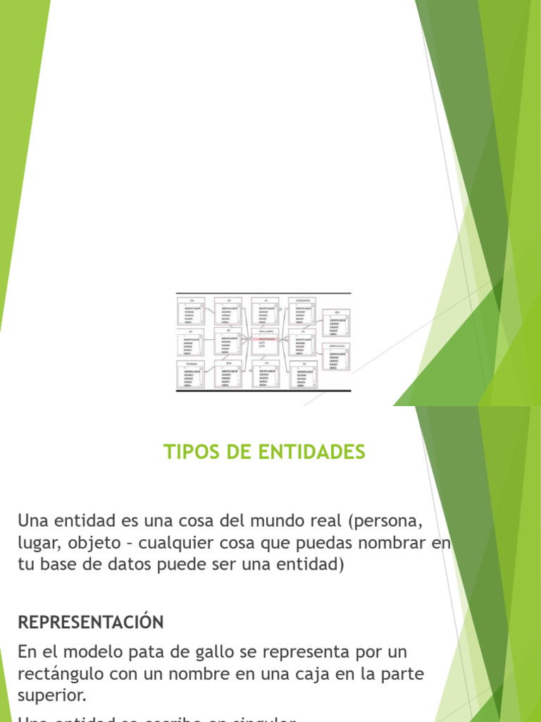 Tipos de Entidades y Atributos en ER | PDF | Factura | Bases de datos