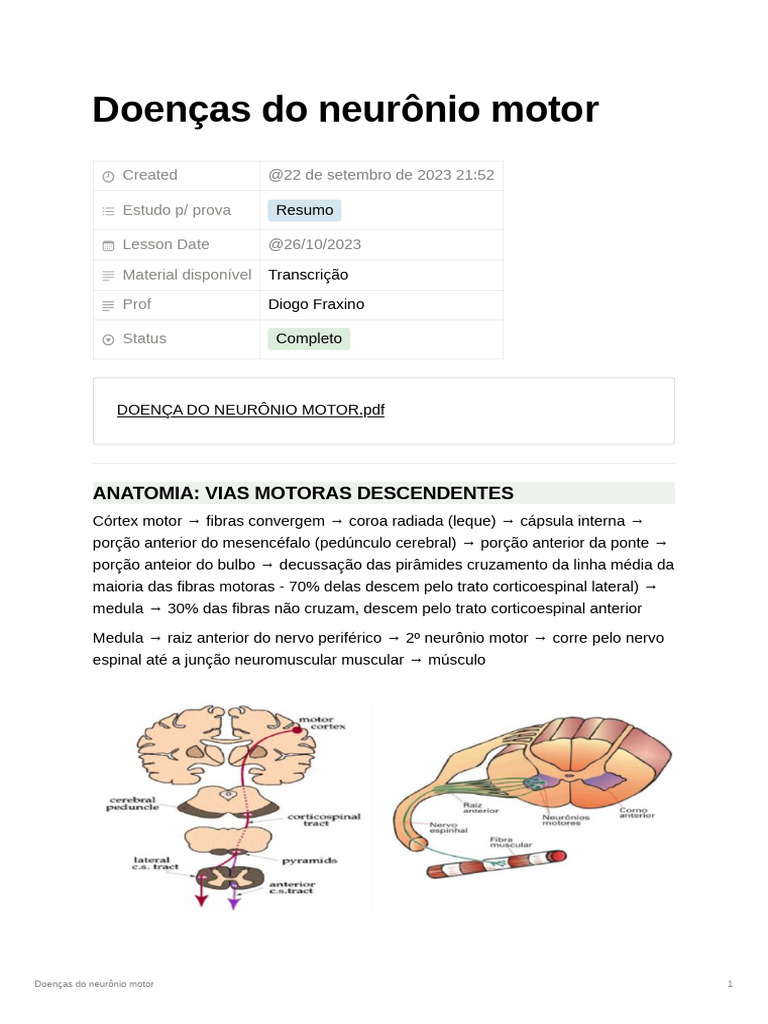 Resumo - Esclerose Lateral Amiotrófica (ELA) | PDF | Neuroanatomia ...