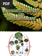 Activity Sheet Where Do Plants Live | PDF | Plants | Habitat