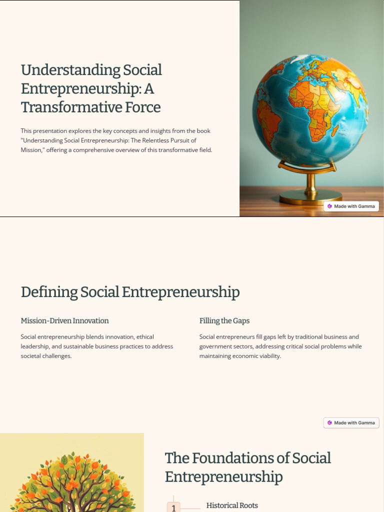Understanding Social Entrepreneurship A Transformative Force | PDF ...