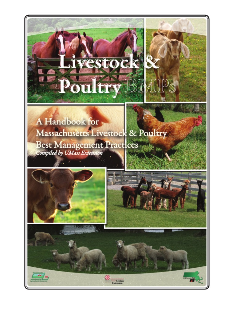 A Handbook of Livestock and Poultry Best Management Practice | PDF ...