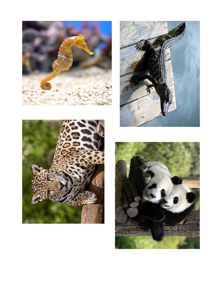 Design Sem Nome - 20250526 - 212140 - 0000 | PDF