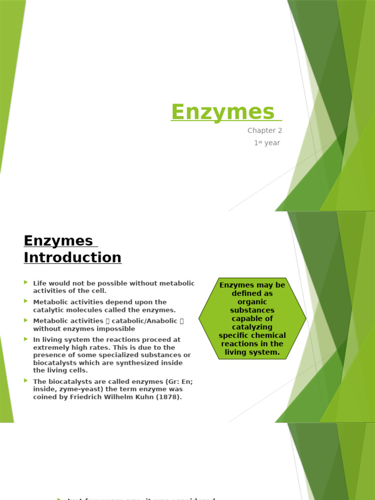 Introduction to Enzymes and Their Functions | PDF | Active Site ...