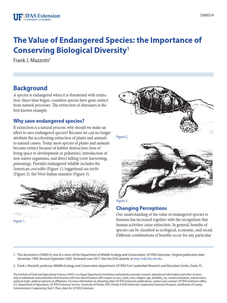 Importance of Endangered Species Conservation | PDF | Biodiversity ...
