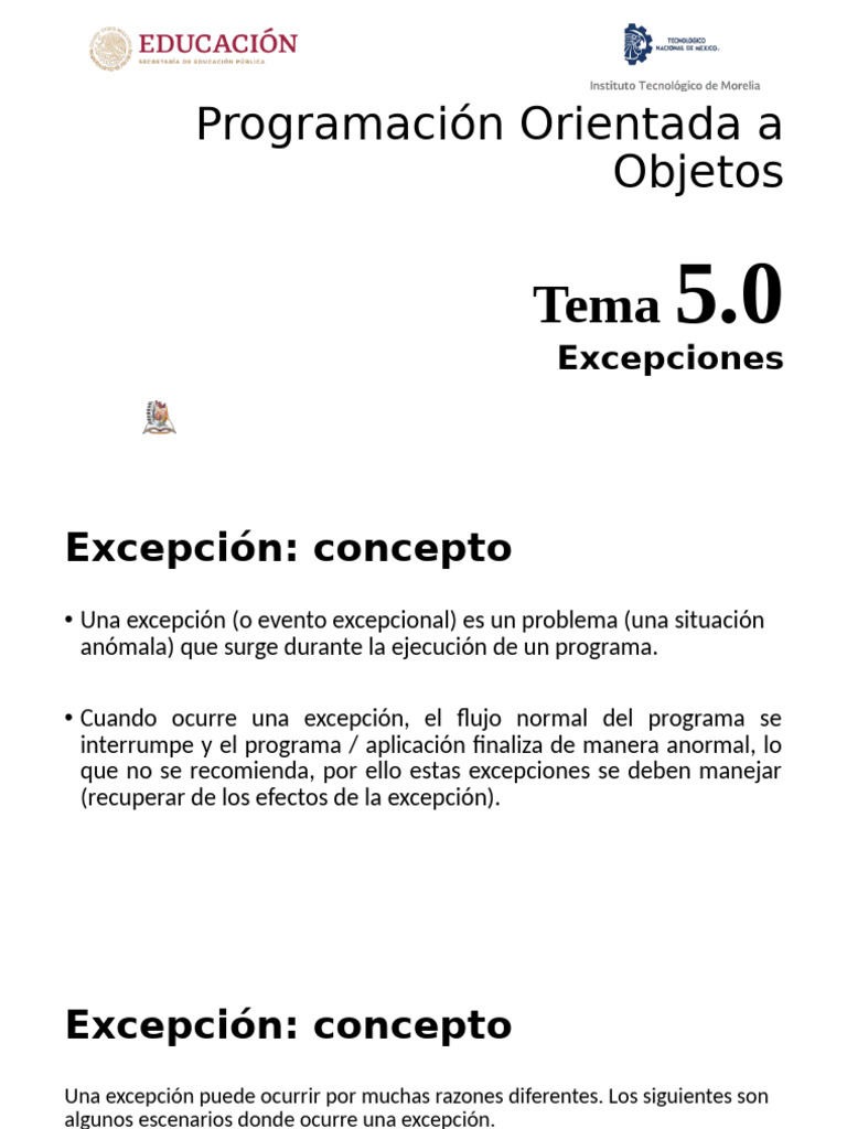 POO202501 5.0 Excepciones 202403 | PDF | Java (lenguaje de programación) | Programa de computadora