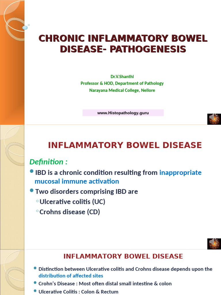Inflammatory Bowel Disease Pathogenesis | PDF | Inflammatory Bowel ...
