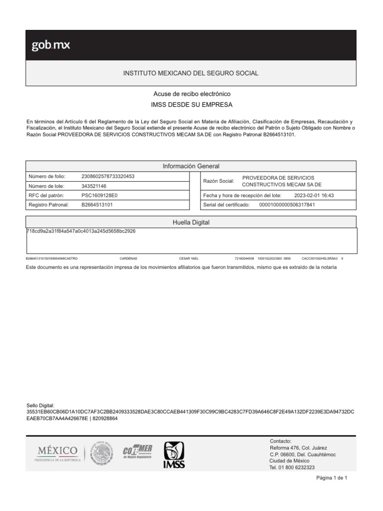 Alta Cesar Yael | PDF