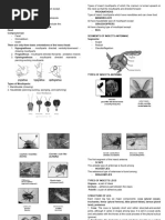 Insect Order Dichotomous Key | PDF | Insects | Arthropods