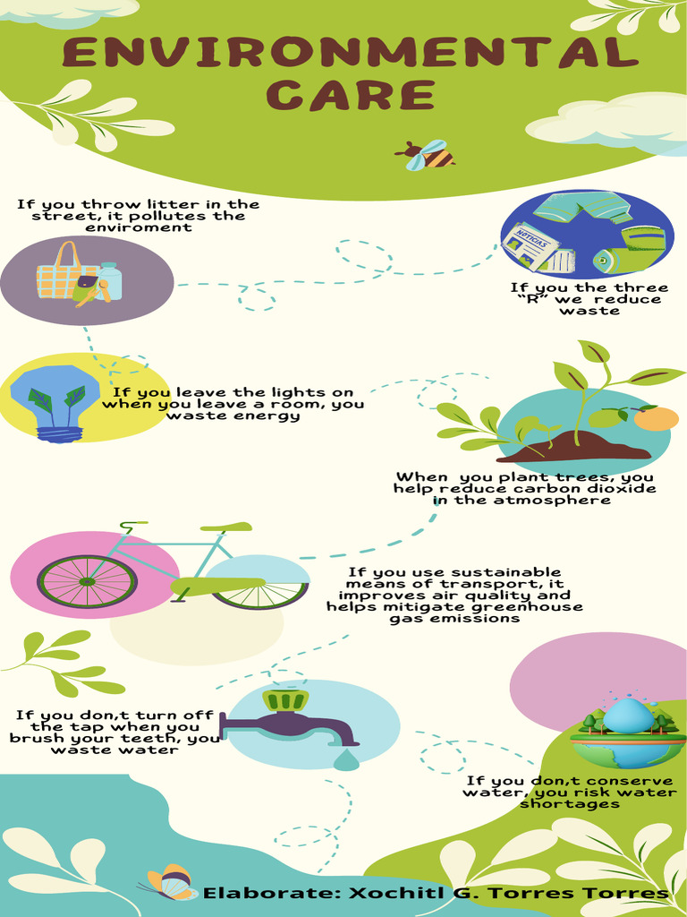 Infografía Cuidado Del Medio Ambiente Creativo Verde - 20250702 ...