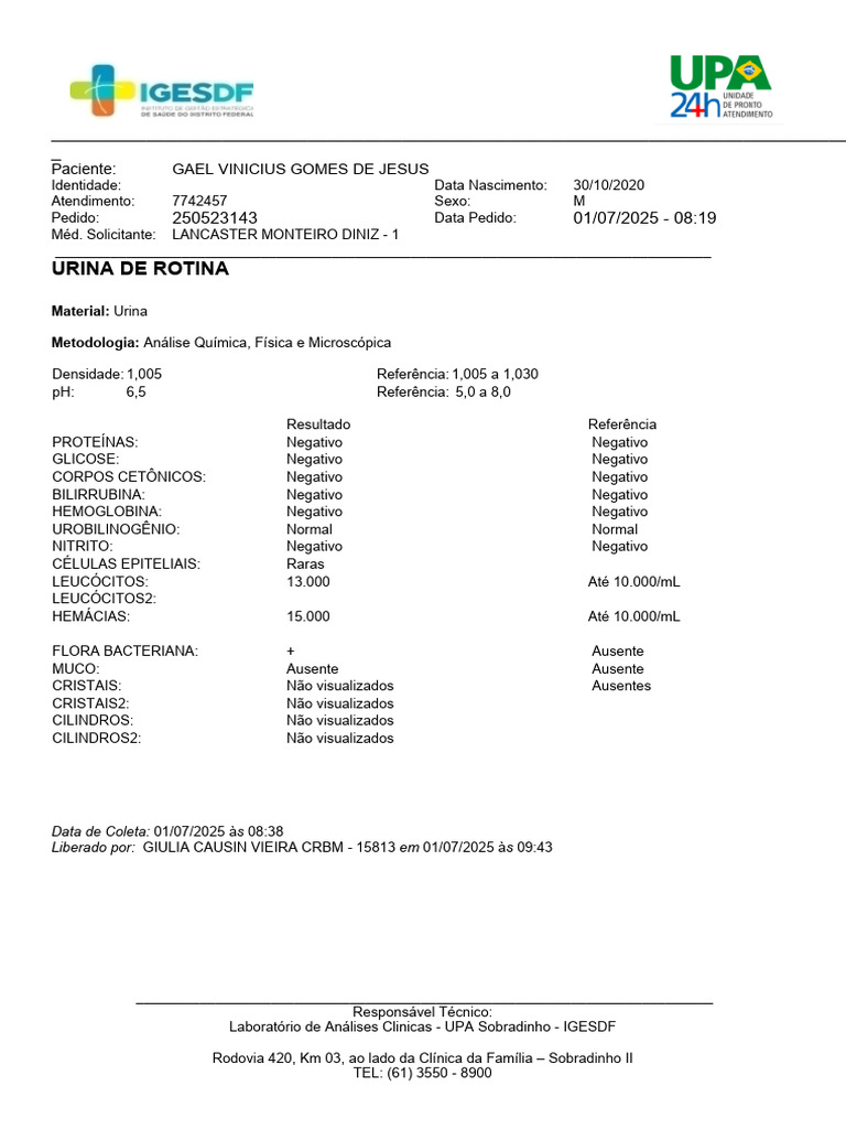 Visualizar Geral Por Itens Pedido Laboratorio | PDF | Especialidades ...