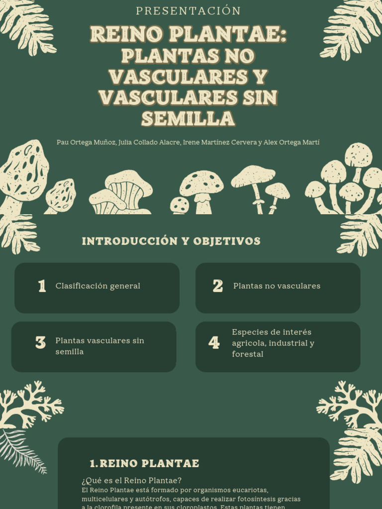Plantas Sin Semilla: Vasc. y No Vasc. | PDF | Plantas | Organismos
