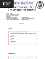 GRR EpifisisRadio | PDF | Mano | Osteoporosis