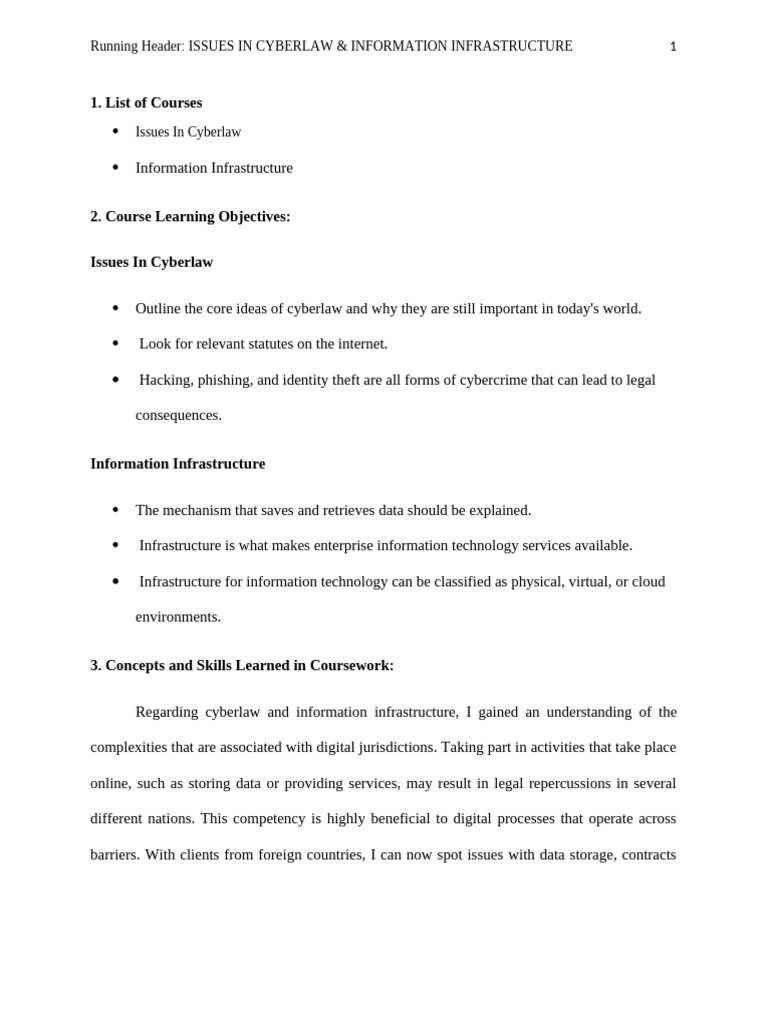 APL( Issues in Cyberlaw & Information Infrastructure)_1 | PDF | Computer Security | Security