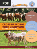 Jamaica Hope: Tropical Dairy Cattle Genetics | PDF