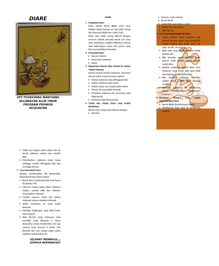 Leaflet Diare | PDF