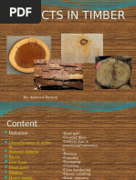 1.1.4.1 Timber Defects - Natural | PDF