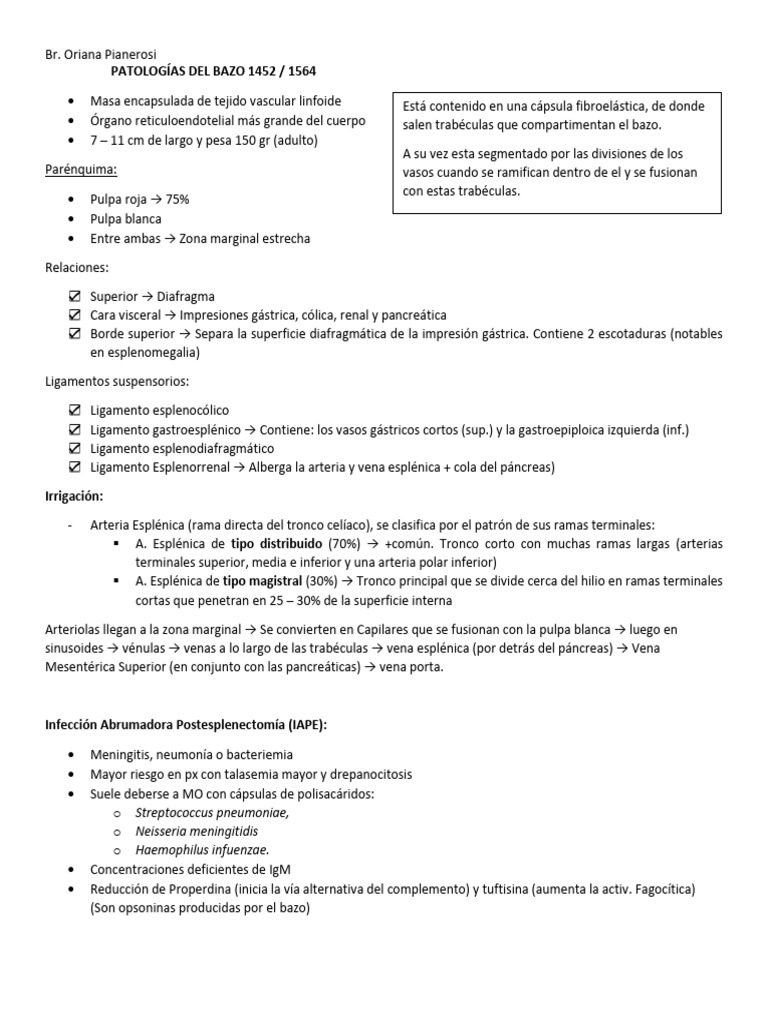 Patologías del Bazo: Diagnóstico y Tratamiento | PDF | Bazo | Linfoma