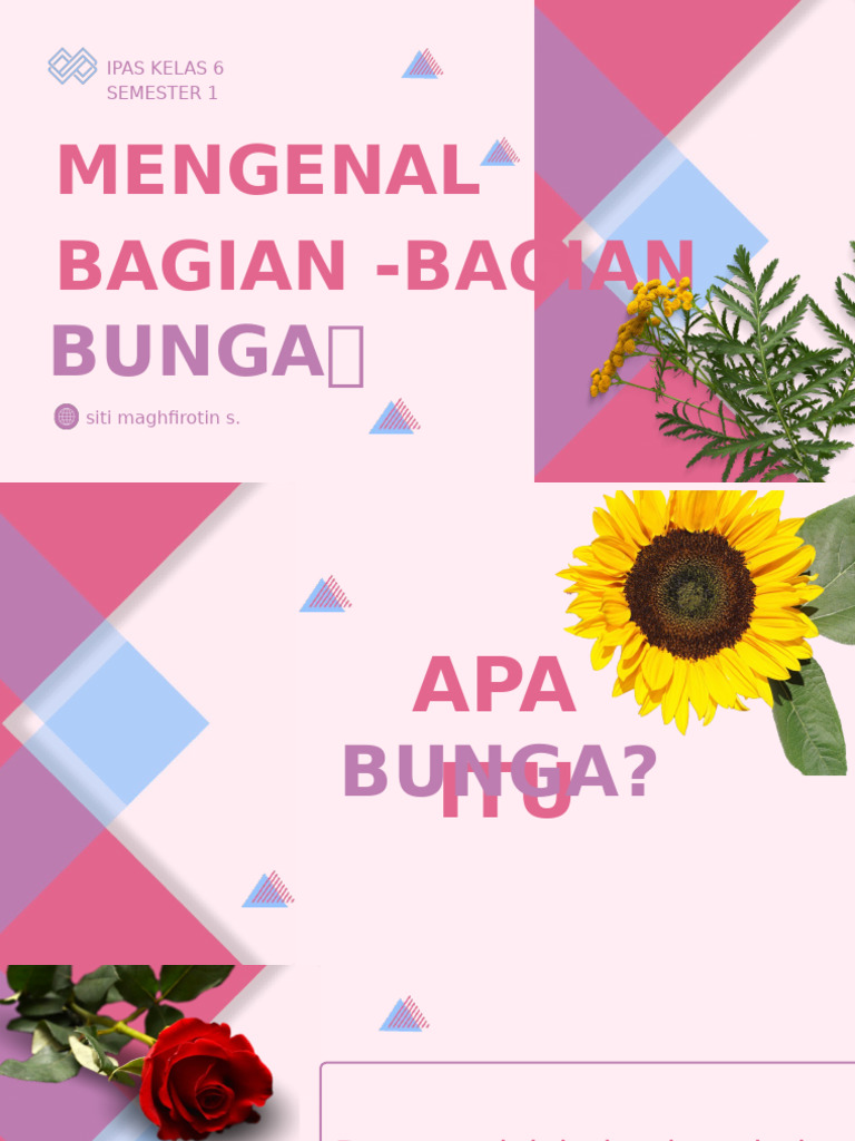 Materi Bagian Bagian Bunga Kelas 6 | PDF