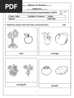 UKG English Annual Exam Paper | PDF