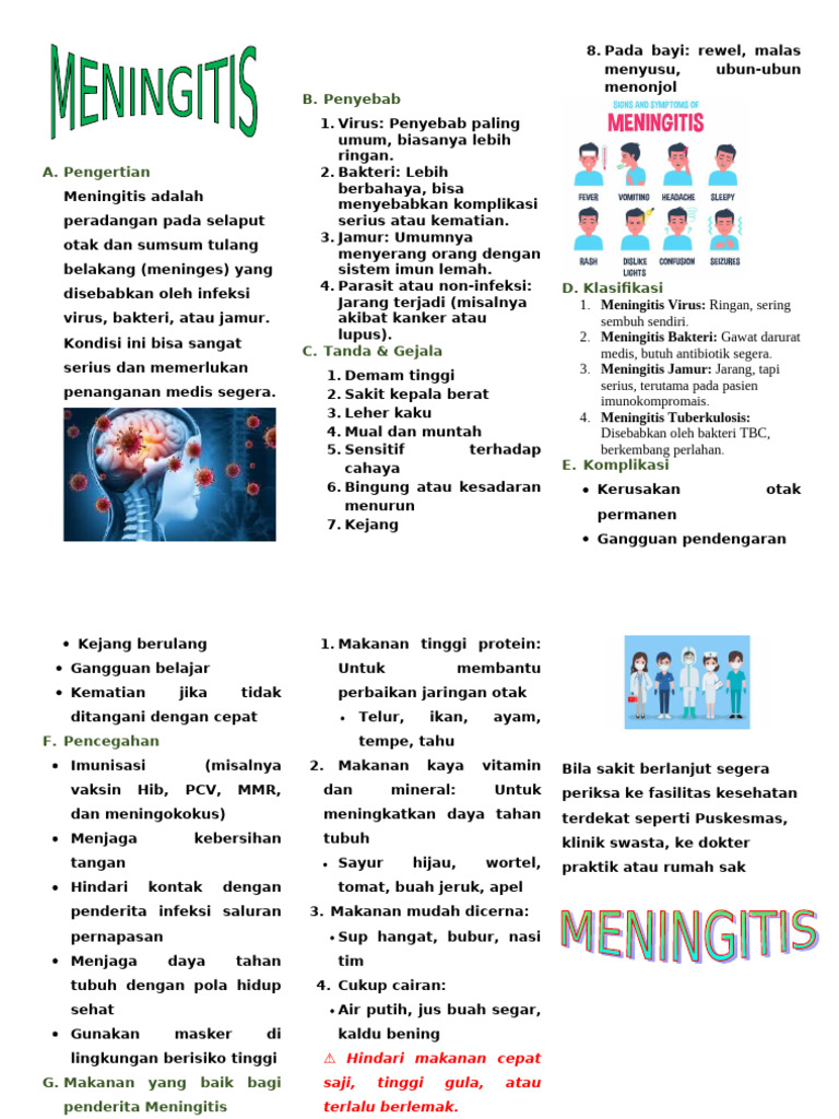 Leaflet Meningitis Rizka | PDF