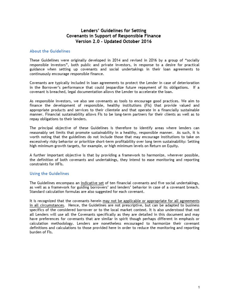 Lenders' Guidelines for Responsible Finance | PDF | Capital Requirement ...