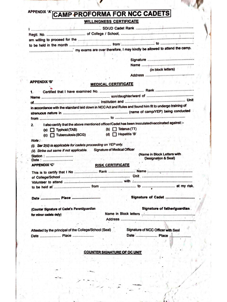 Camp Performa | PDF