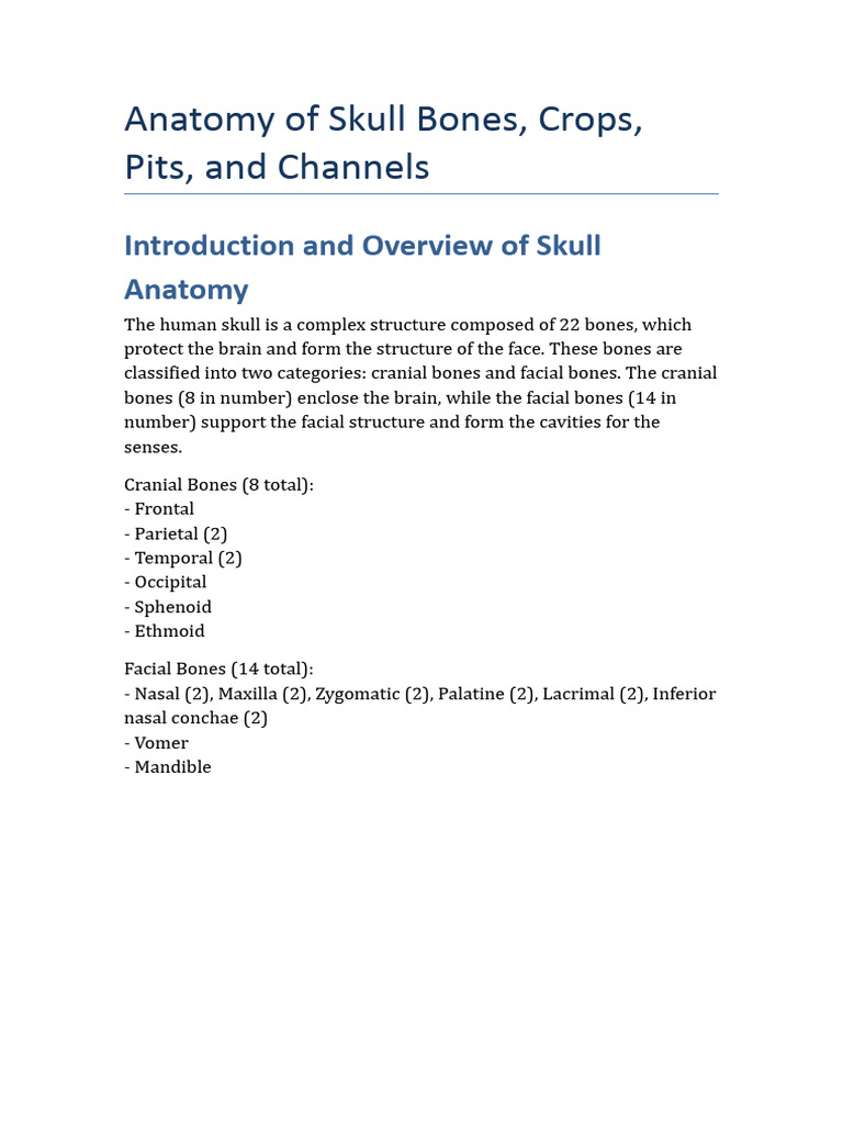 Skull Bones Crops Pits Channels Anatomy Assignment | PDF | Skull ...