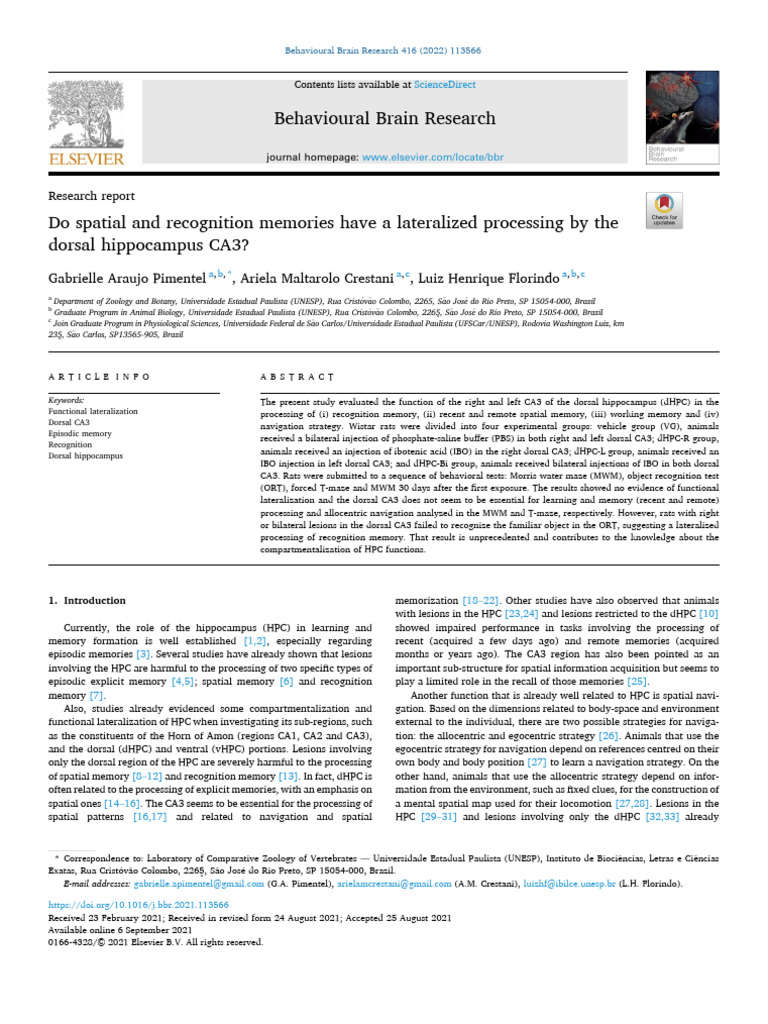 Do Spatial and Recognition Memories Have A Lateralized Processing by The Dorsal Hippocampus CA3 ...