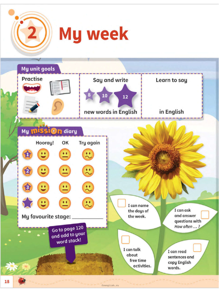 Microteaching Young Learners Rocket Movers Grammar Adverb of Frequency ...