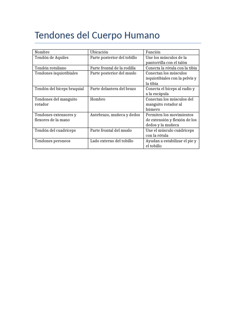 Principales Tendones del Cuerpo Humano | PDF