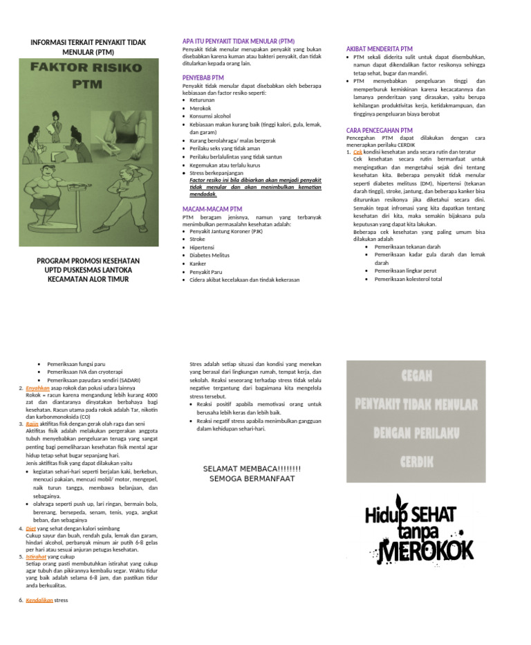 Informasi Penyakit Tidak Menular | PDF