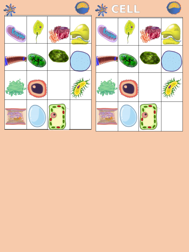 Bingo Card | PDF
