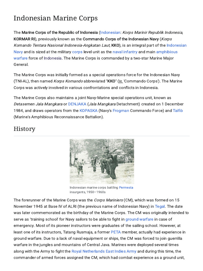 Indonesian Marine Corps - Wikipedia | PDF | Military Branches ...