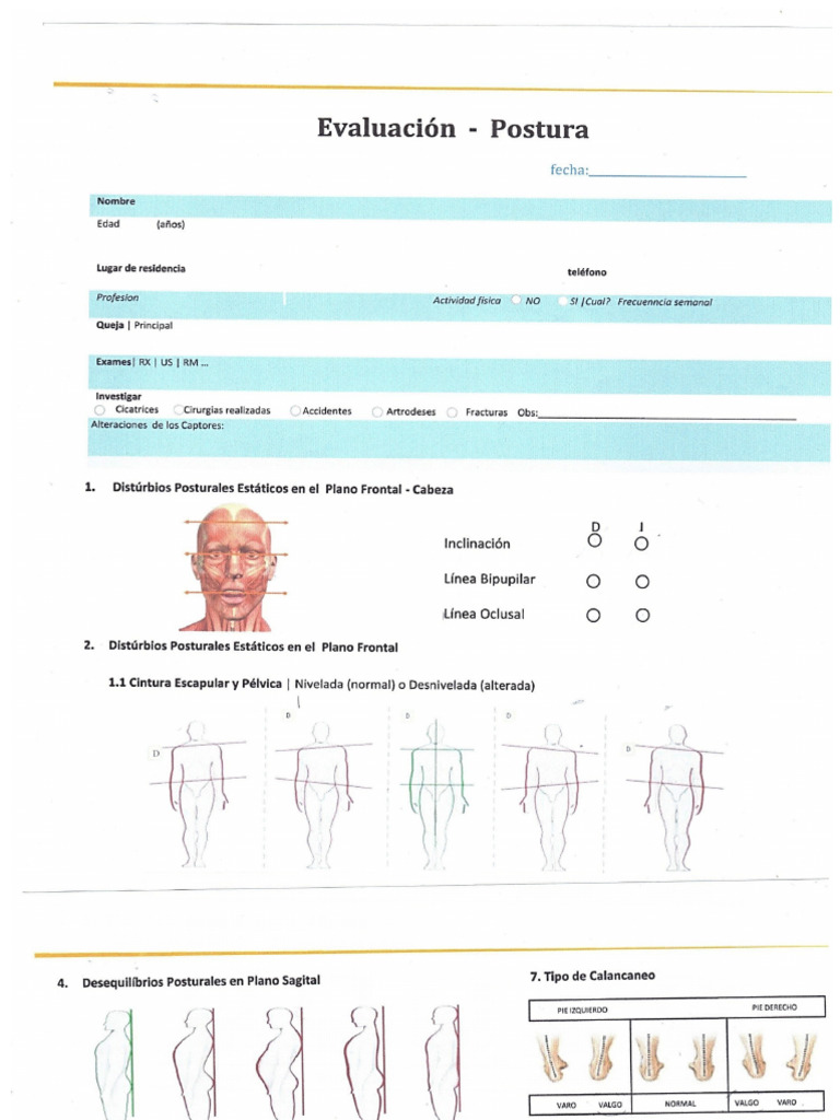 Evaluacion de Postura | PDF