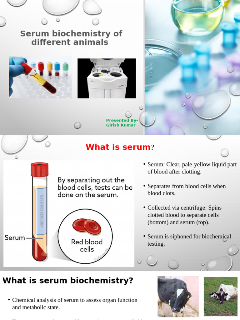 Serum Biochemistry in Animals | PDF | Blood Plasma | Alanine Transaminase