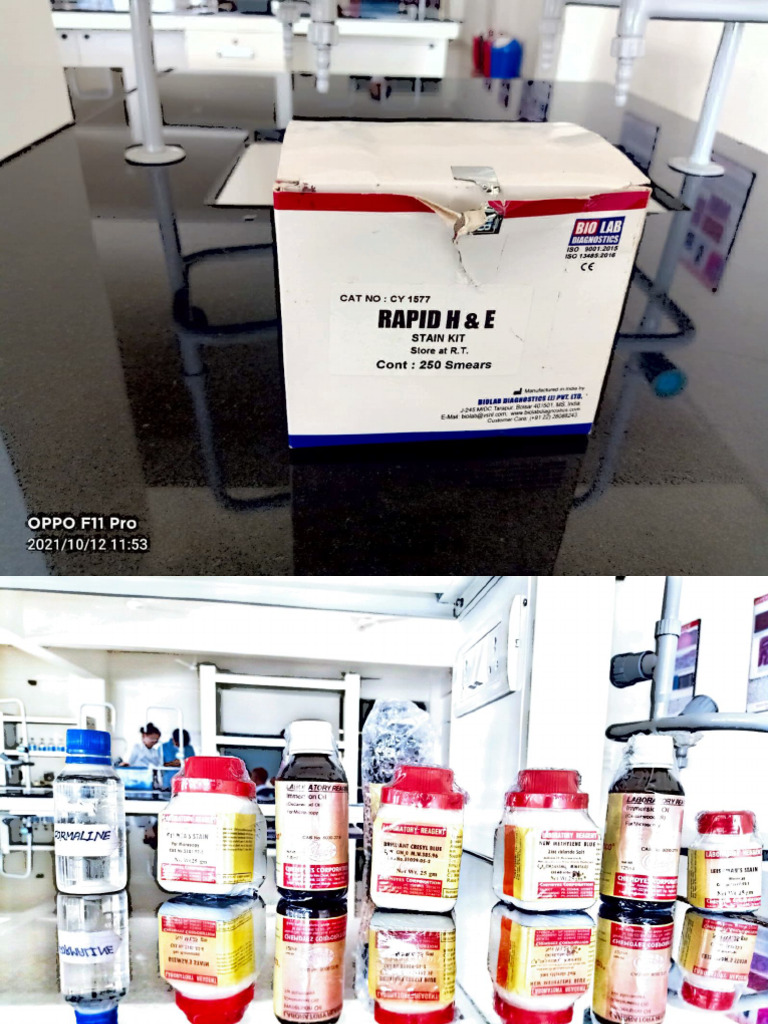 Patho Tray + Spotting | PDF