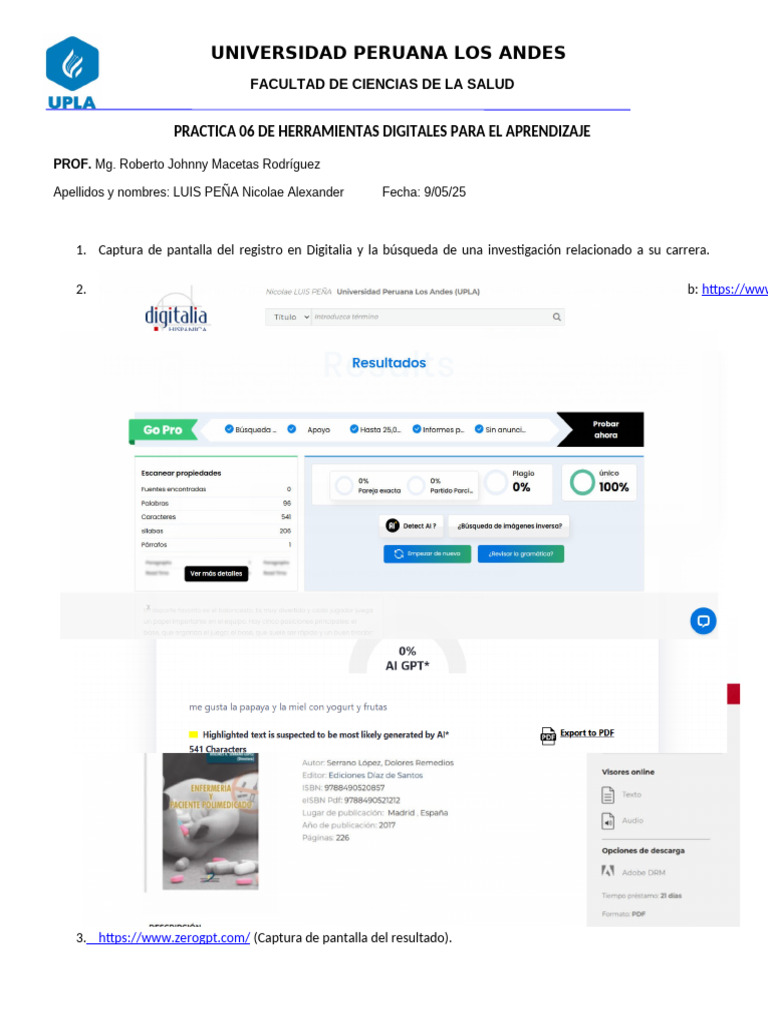 Practica 06 Hdpa | PDF