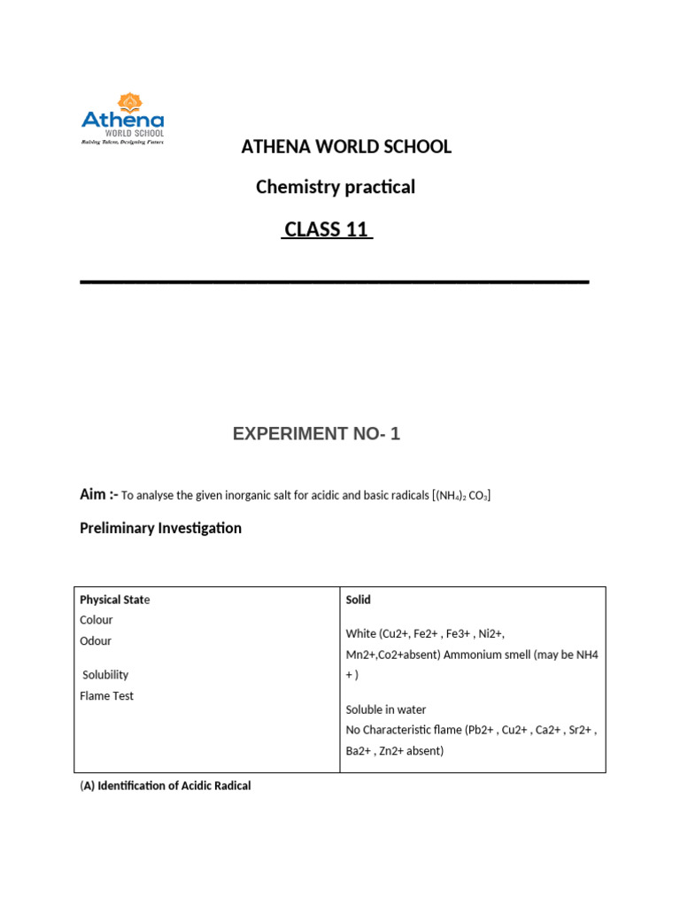Class 11th Practical Chemistry 2024-25 | PDF | Titration | Chemistry