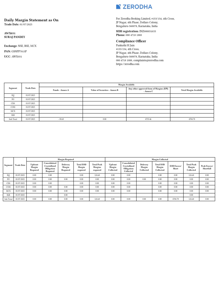 01 07 2025 Margin Statements AWX031 | PDF | Private Sector | Equity ...