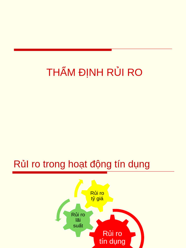 Bai Tham Dinh Rui Ro - Read-Only | PDF