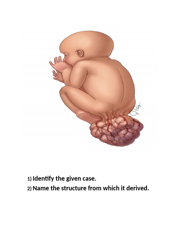 Embryo Spotting | PDF