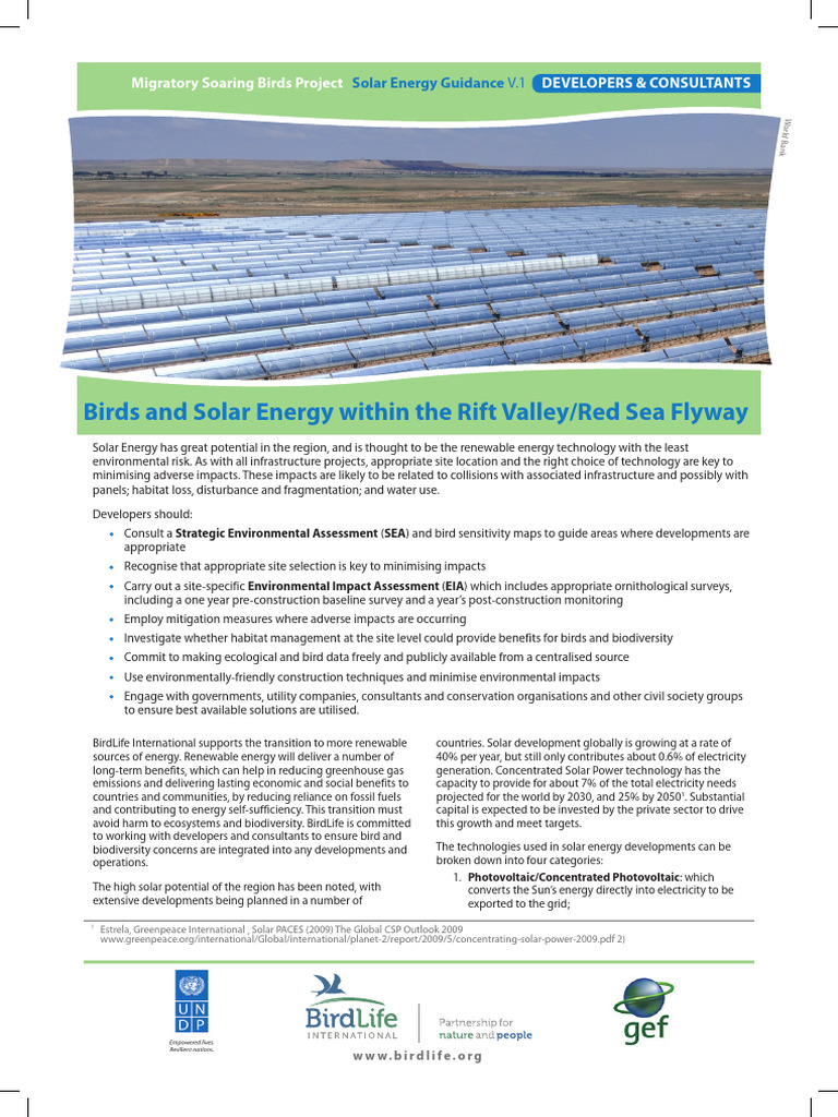 Solar Energy Impact on Migratory Birds | PDF | Environmental Impact ...