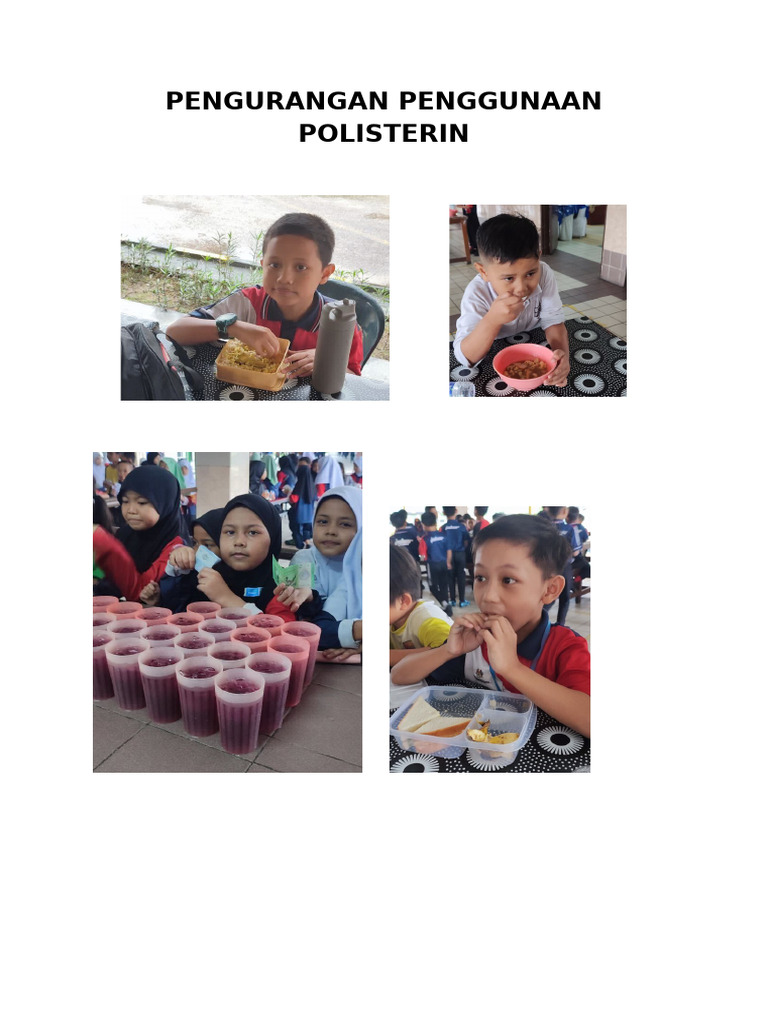 Pengurangan Penggunaan Polisterin | PDF