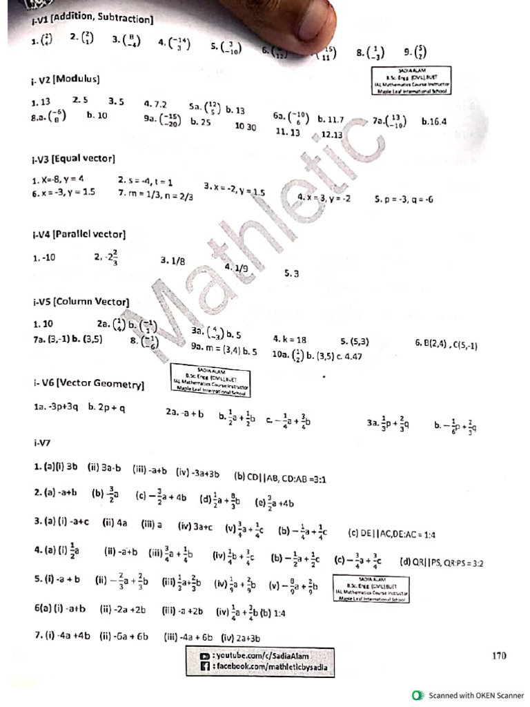 Vector Answers | PDF
