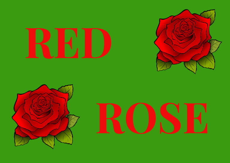Red Rose | PDF