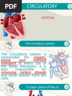 The 3 Types of Circulation | PDF