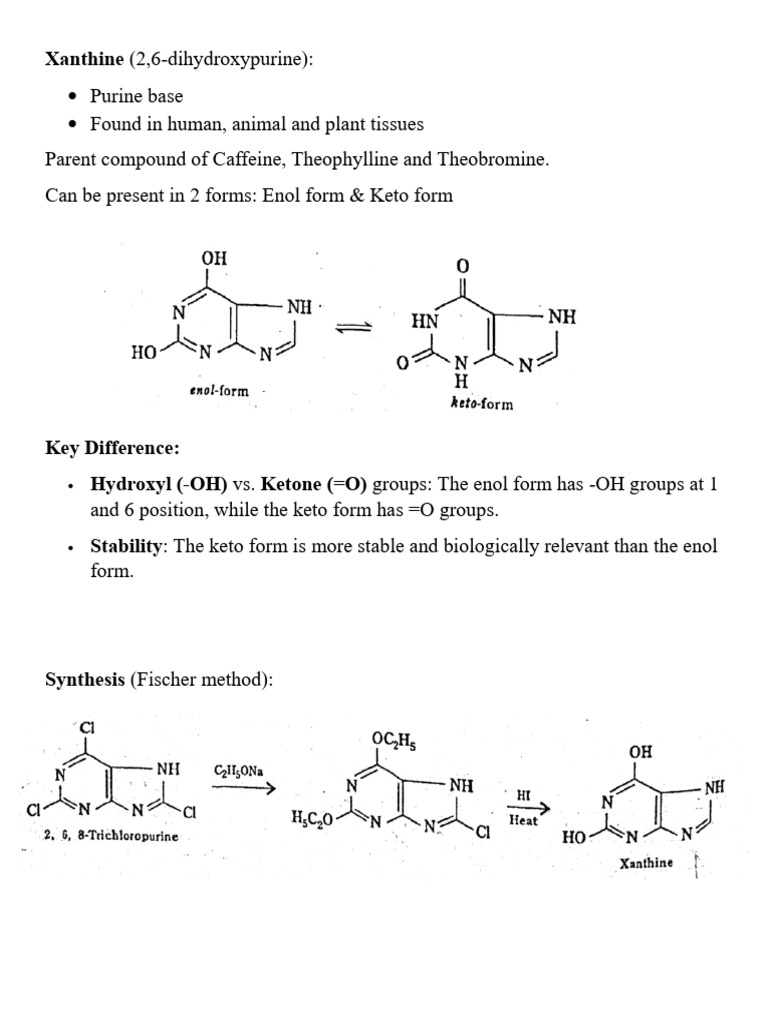 Xanthine and Its Alkaloids: Structure & Synthesis | PDF | Ketone | Alkaloid