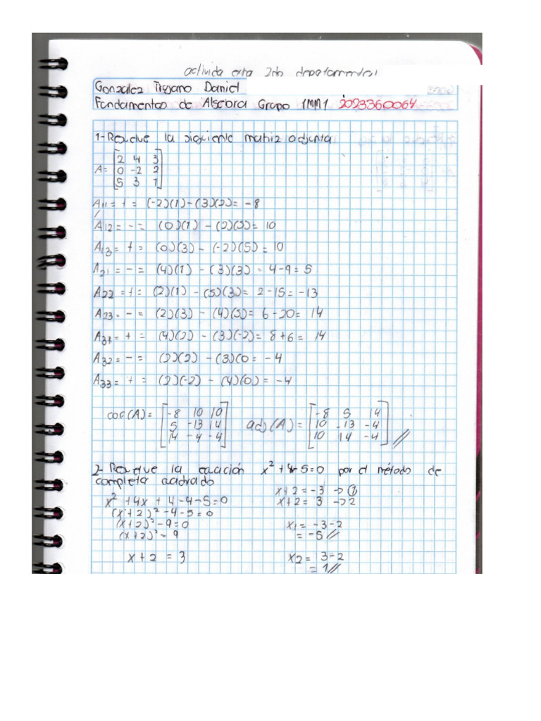 Actividad Extra - 2do Parcial | PDF