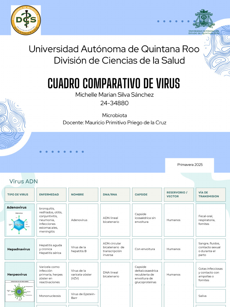 Clasificacion de Virus | PDF