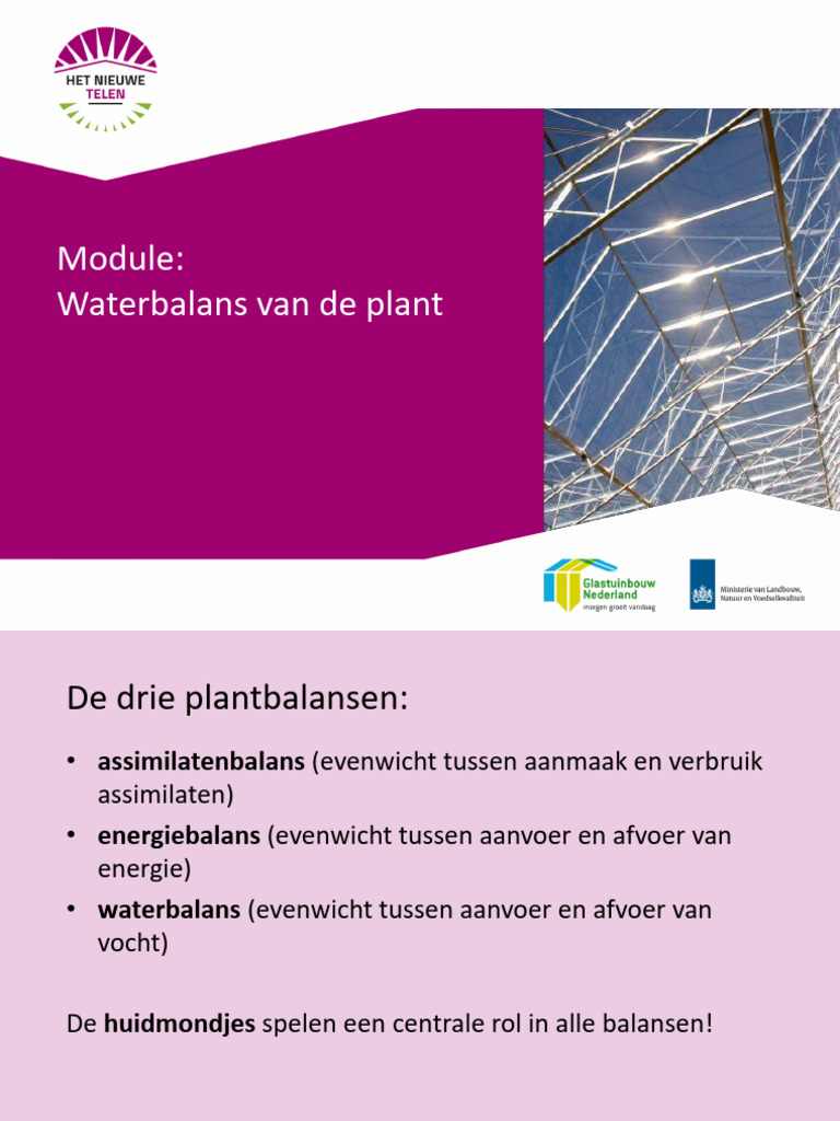 07 Module Waterbalans Plant | PDF